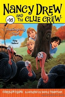 The Nancy Drew Clue Crew Series
